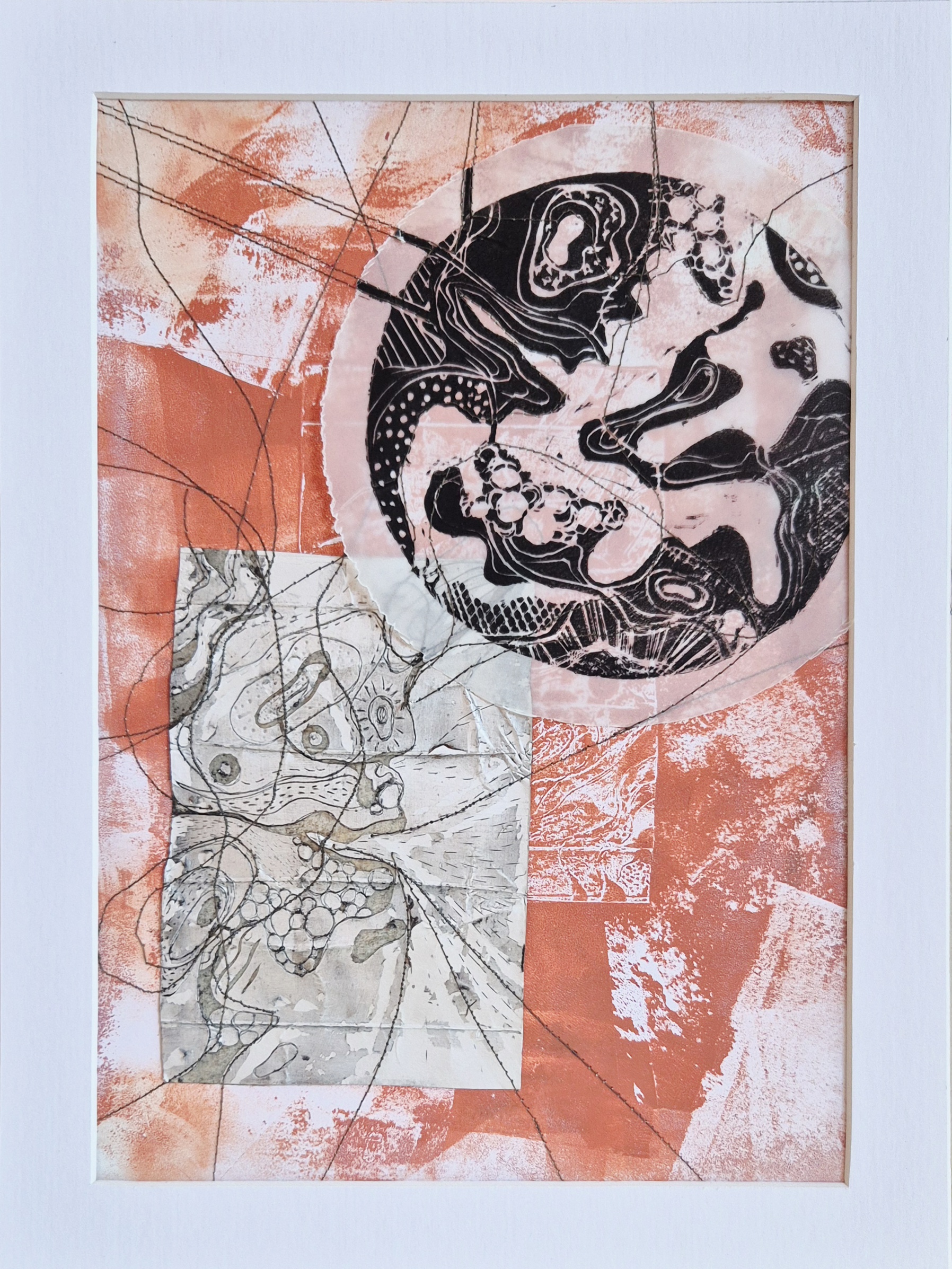 Boundaries – Kay Wiggins - tiliqua tiliqua