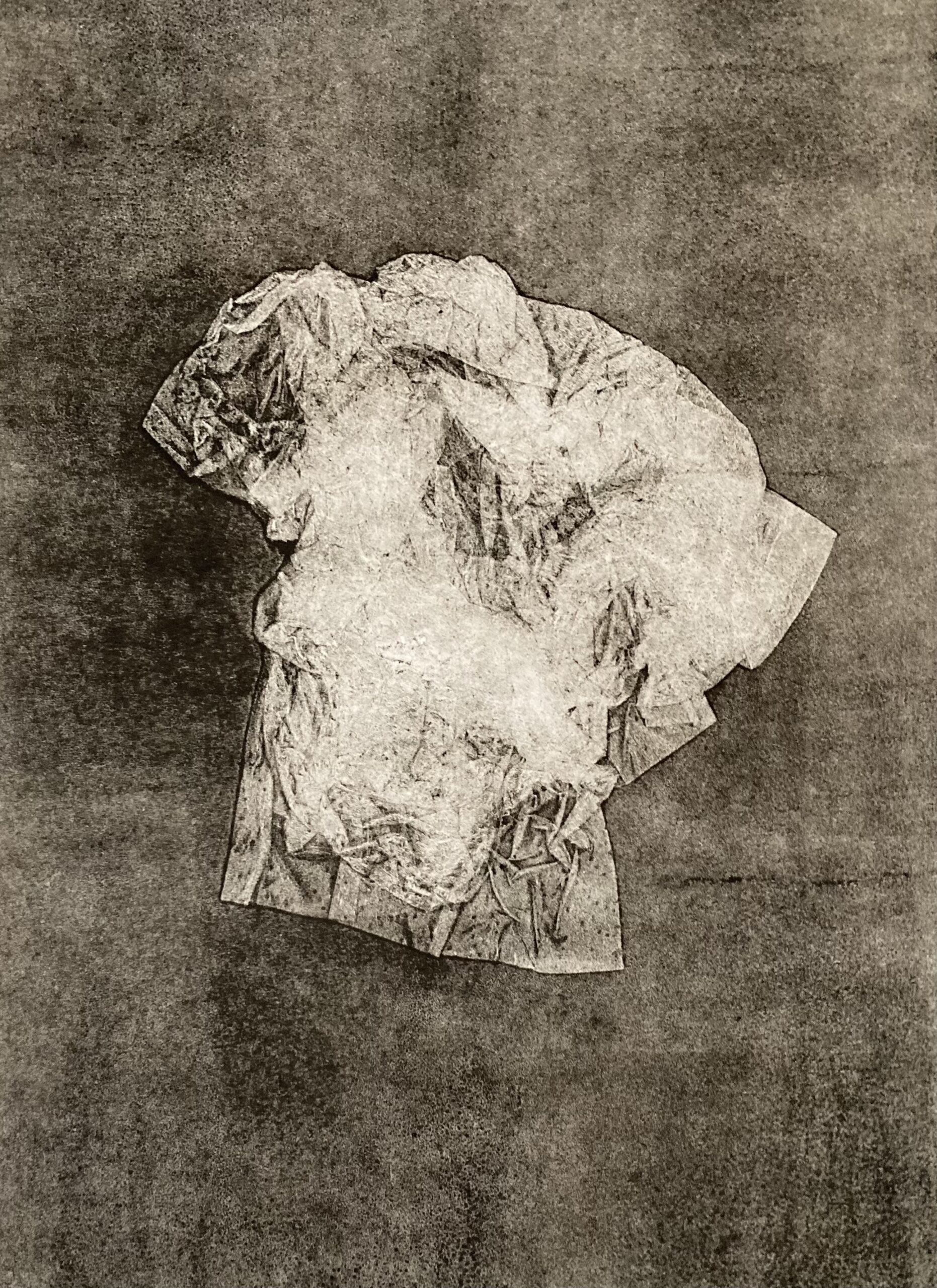Boundaries – Shona Smith - tiliqua studio