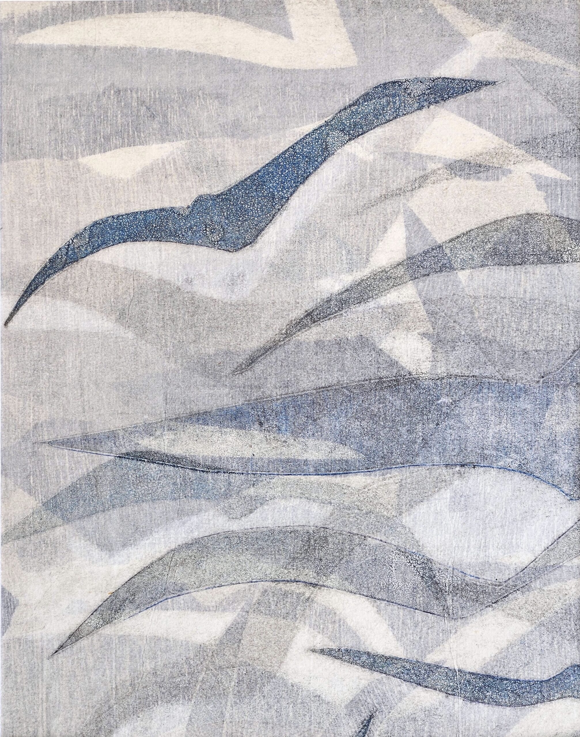 Boundaries – Ruth Thompson - tiliqua studio