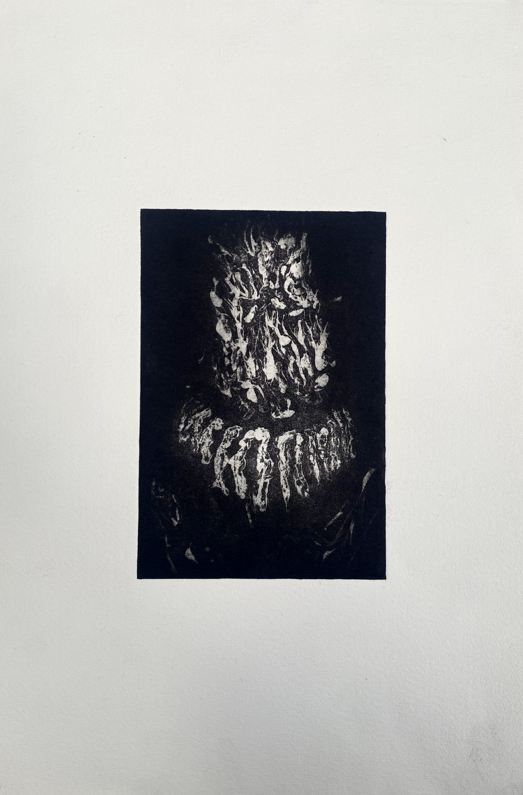 Boundaries – Georgia Wilkinson - tiliqua studio