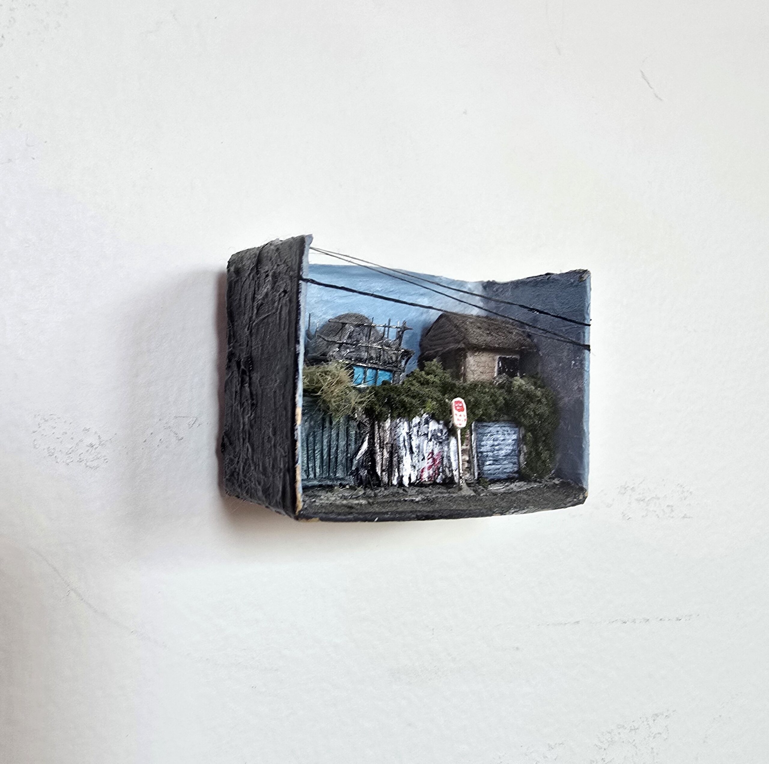 SWS – Kate Dunn - tiliqua studio